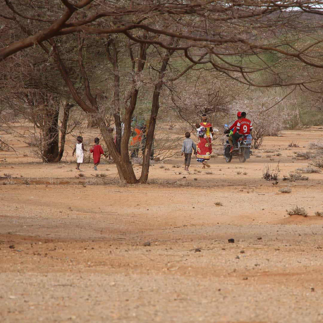 What We Do – Lifeway Global